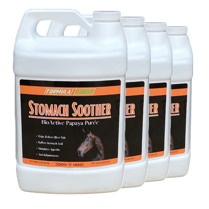 My Daily Choice | Formula 1 Equine - Stomach Soother (gallon) 4pk